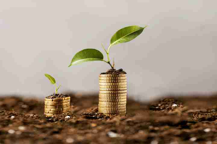 Understanding Zakat in Islam: A Comprehensive Guide to Islamic Charity ...